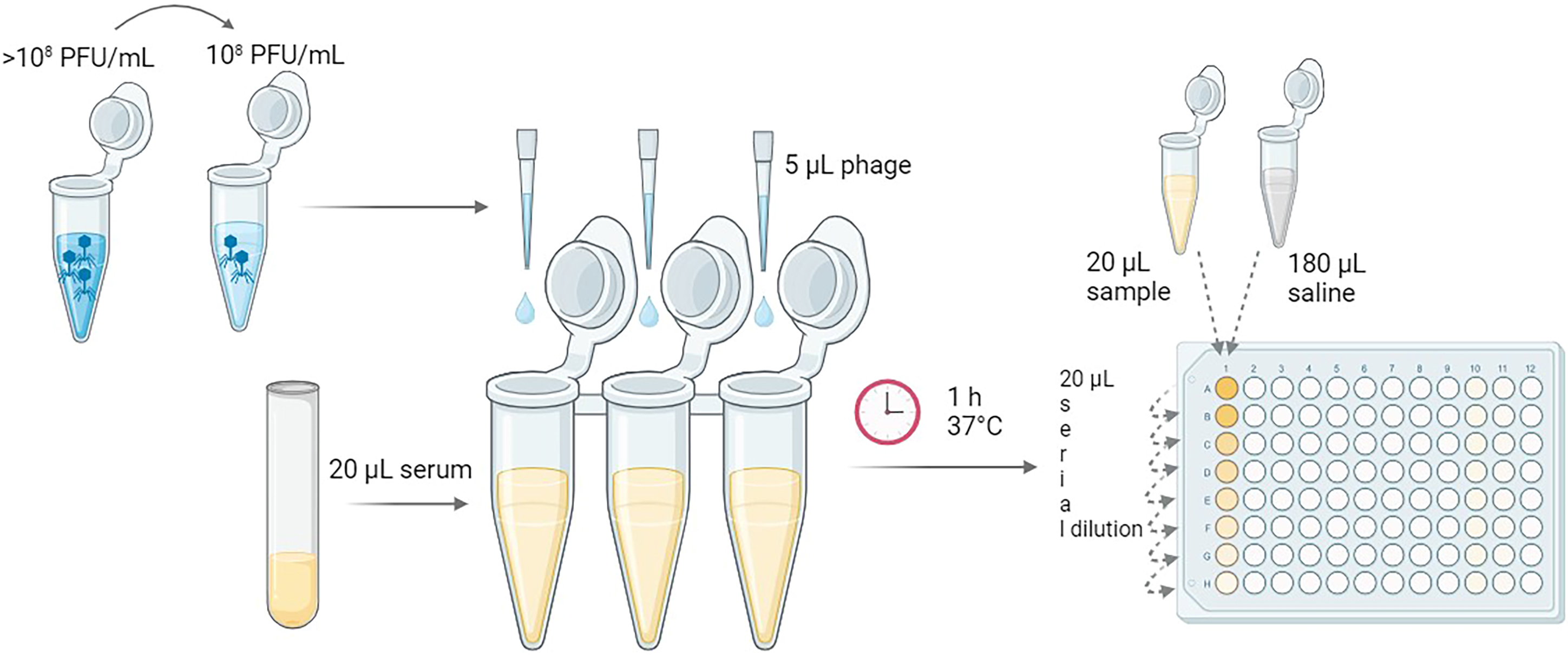 Cell Press: STAR Protocols