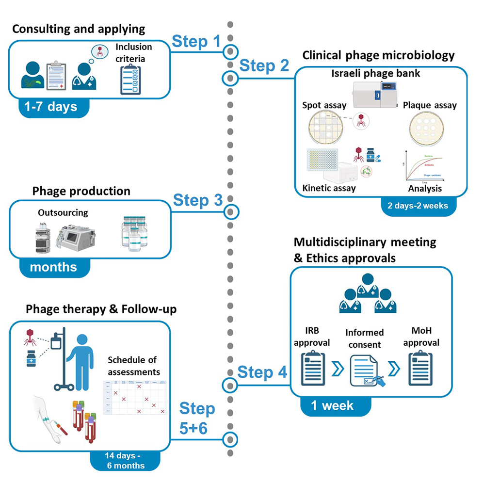 Cell Press: STAR Protocols
