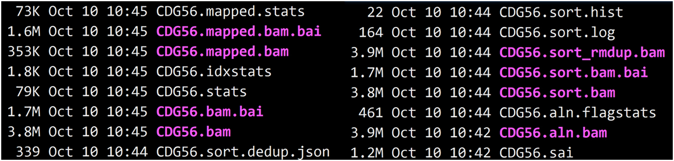 Cell Press: STAR Protocols