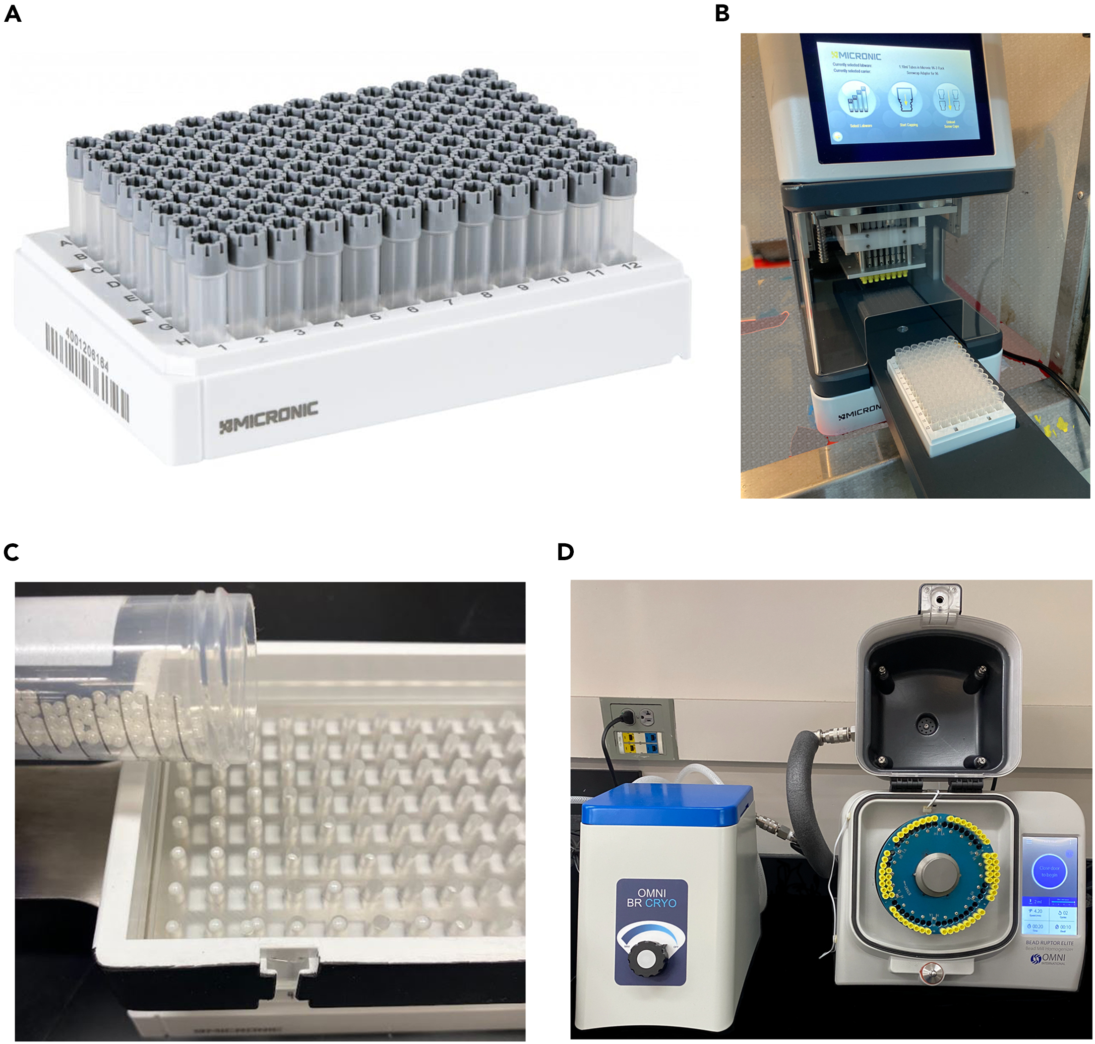 Cell Press: STAR Protocols