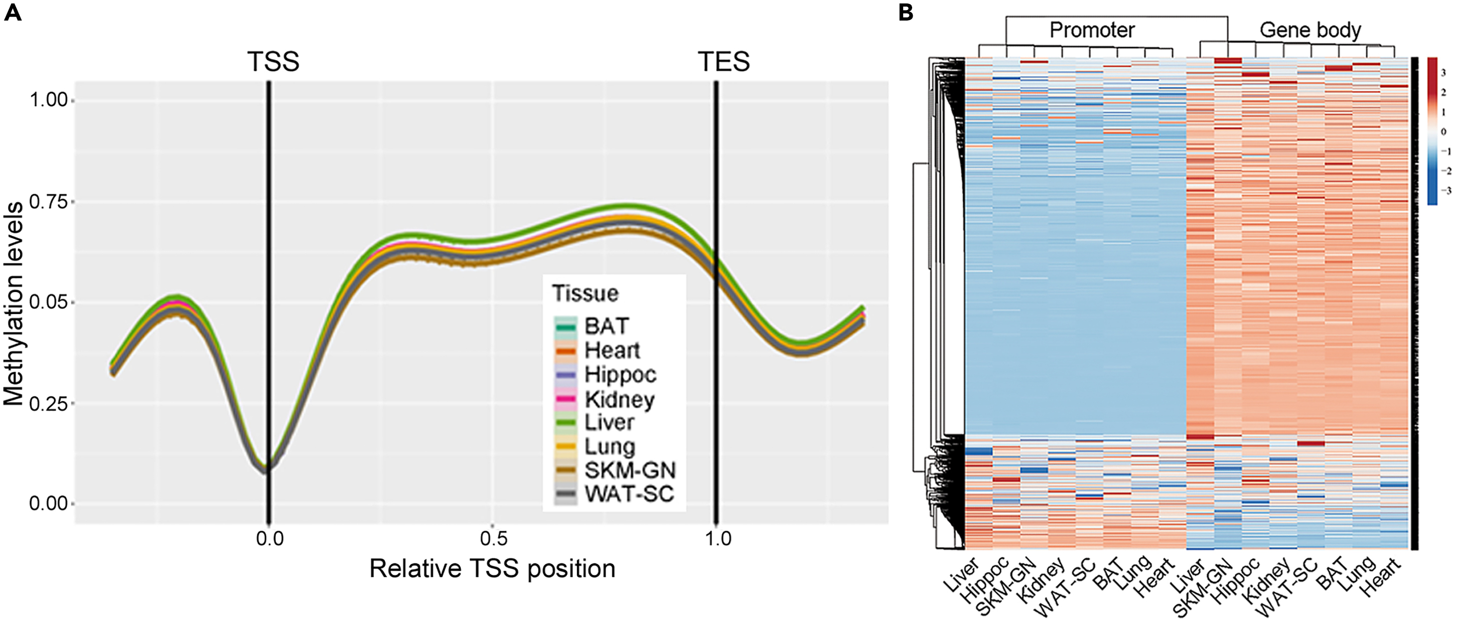 Cell Press: STAR Protocols