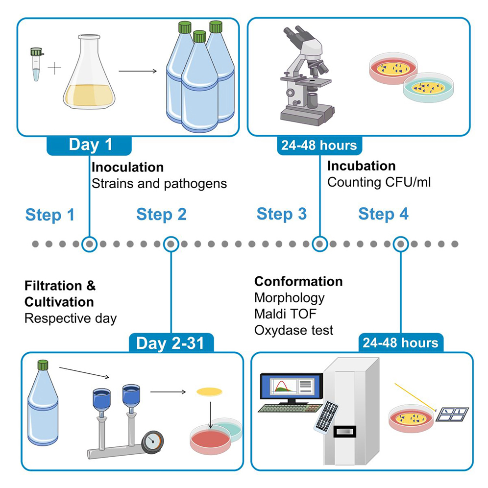 Cell Press: STAR Protocols