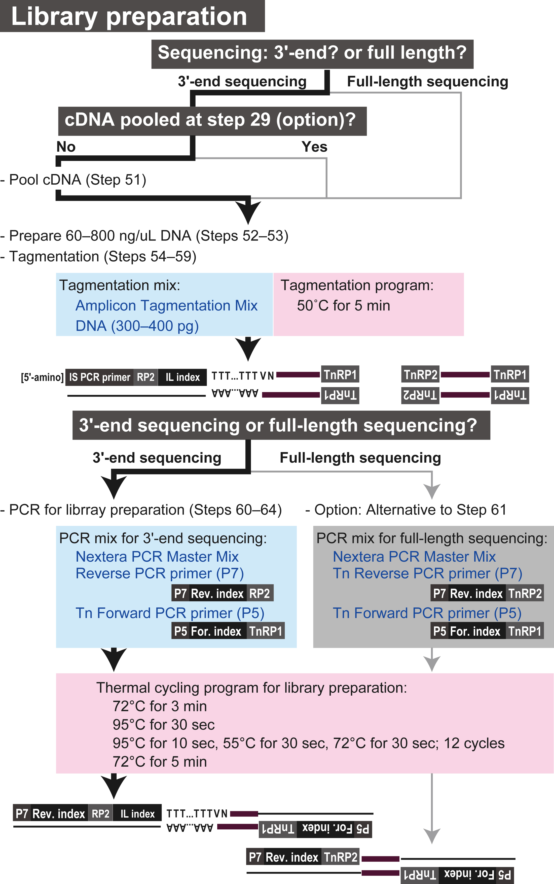 Cell Press: STAR Protocols