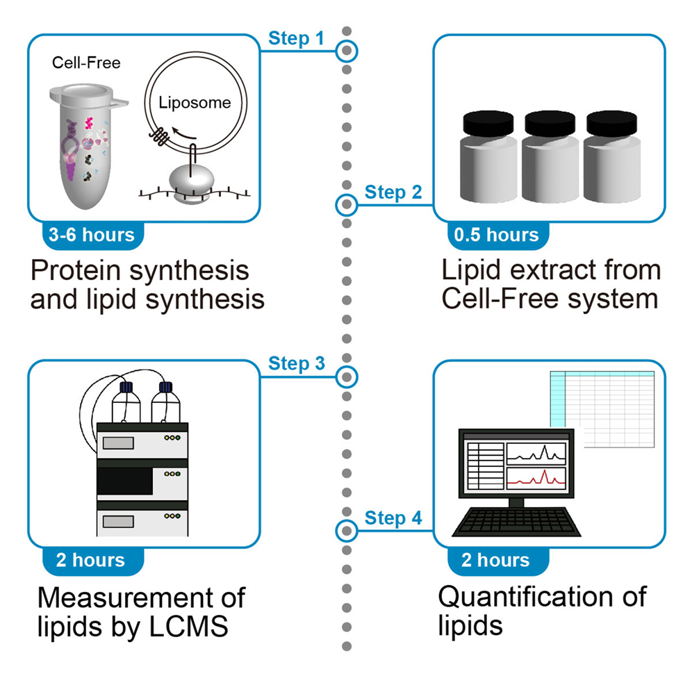 Cell Press: STAR Protocols