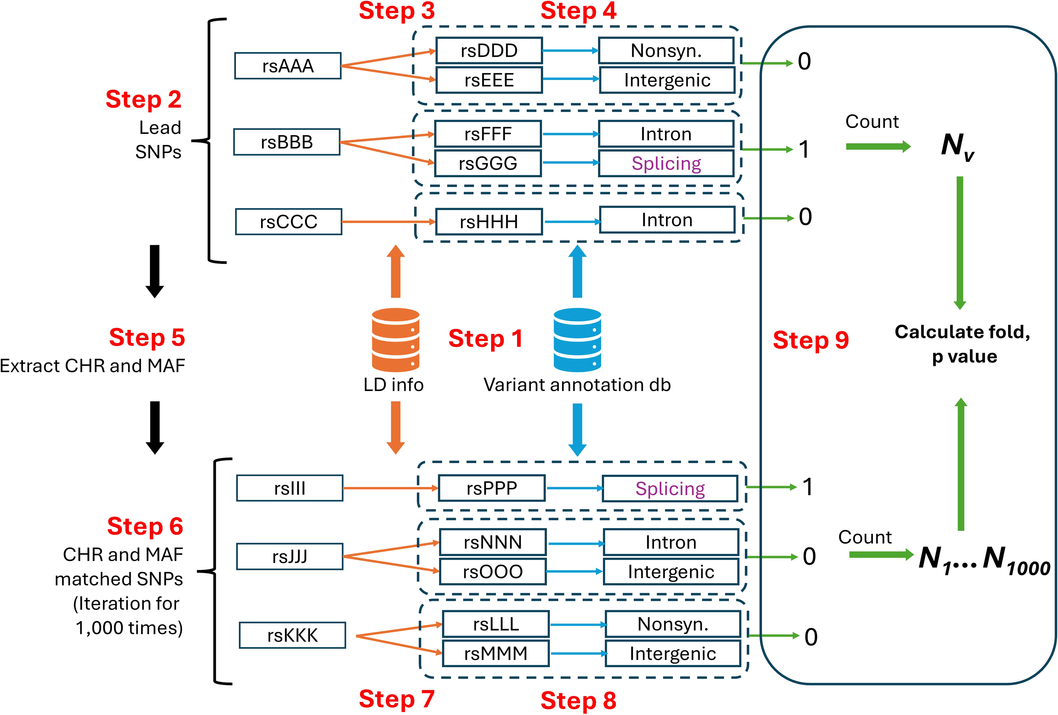 Cell Press: STAR Protocols