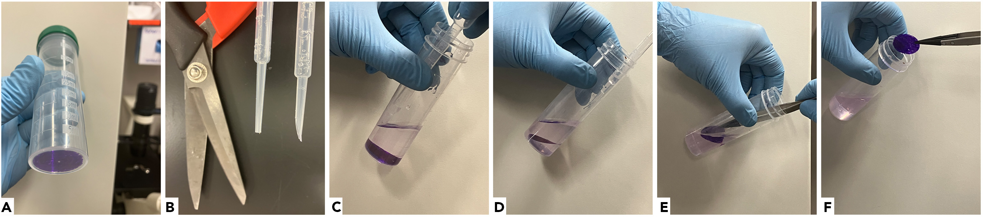 Cell Press: STAR Protocols