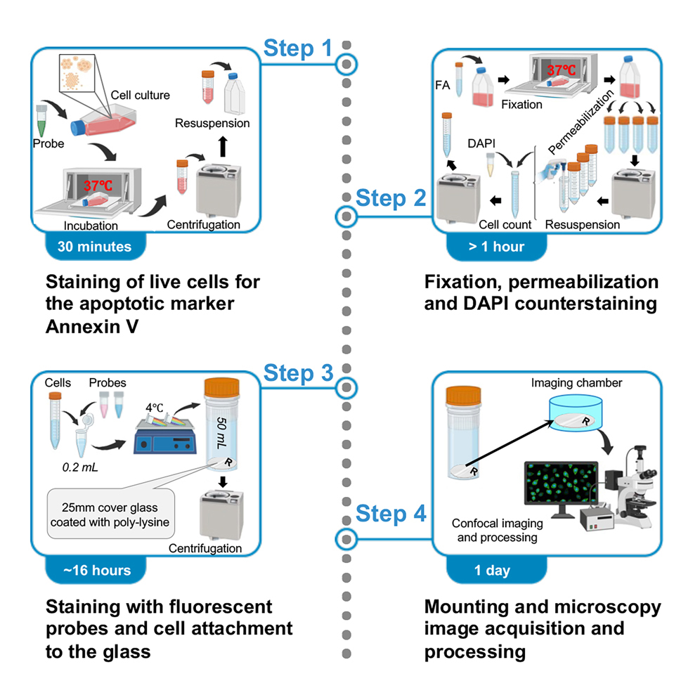 Cell Press: STAR Protocols