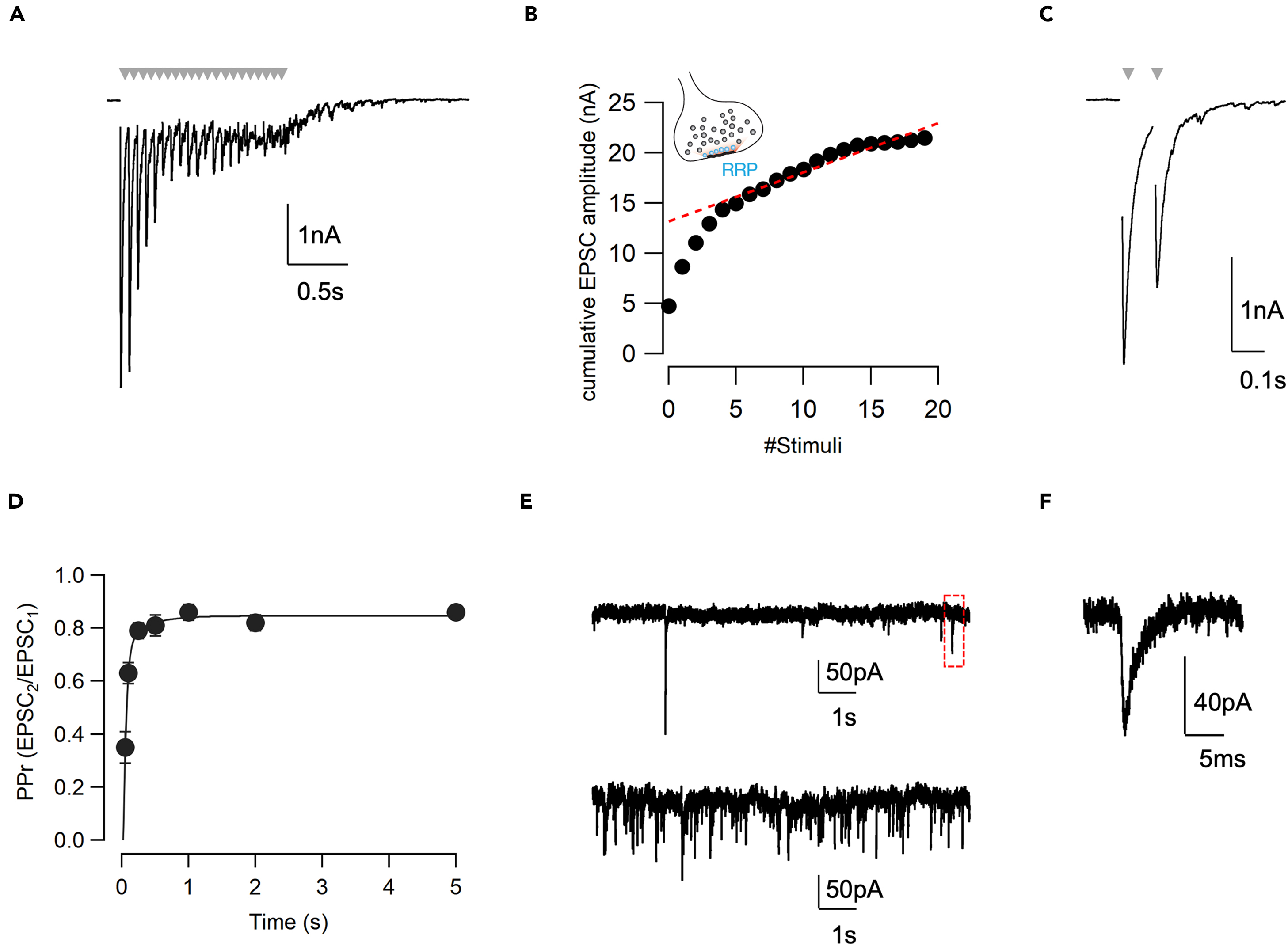Cell Press: STAR Protocols