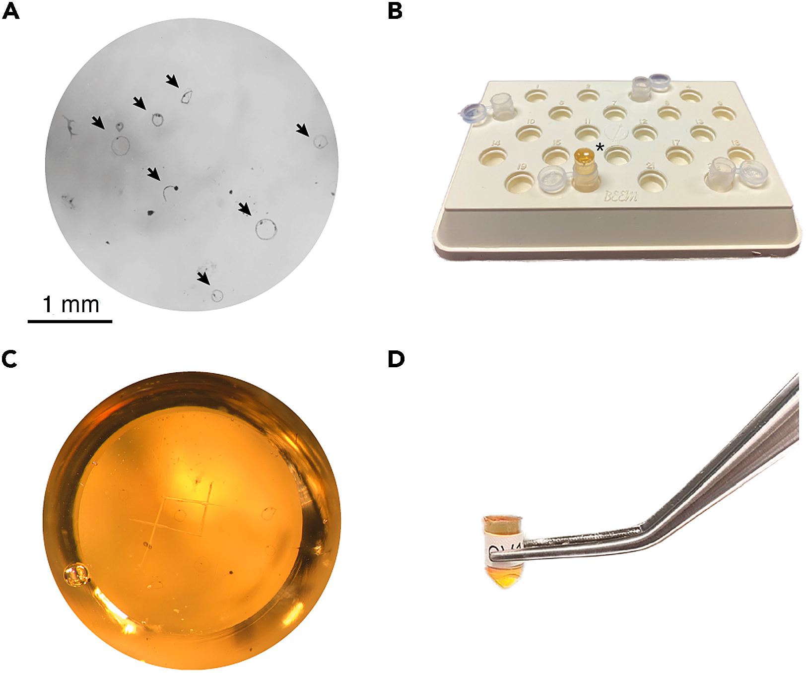 Cell Press: STAR Protocols