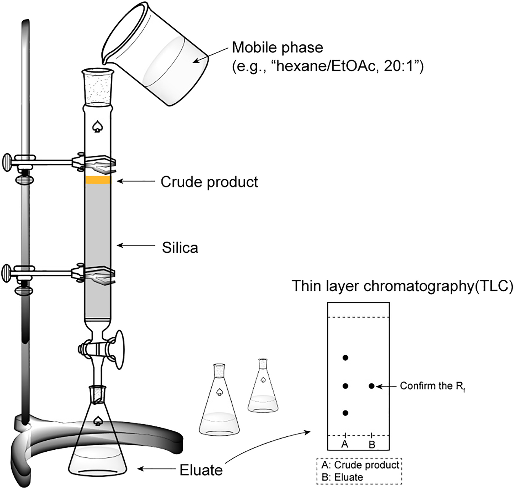 Cell Press: STAR Protocols
