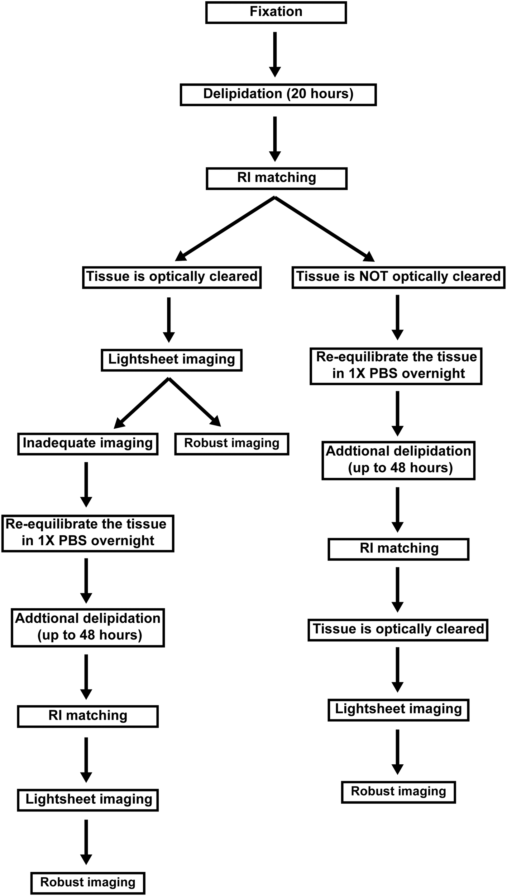 Cell Press: STAR Protocols