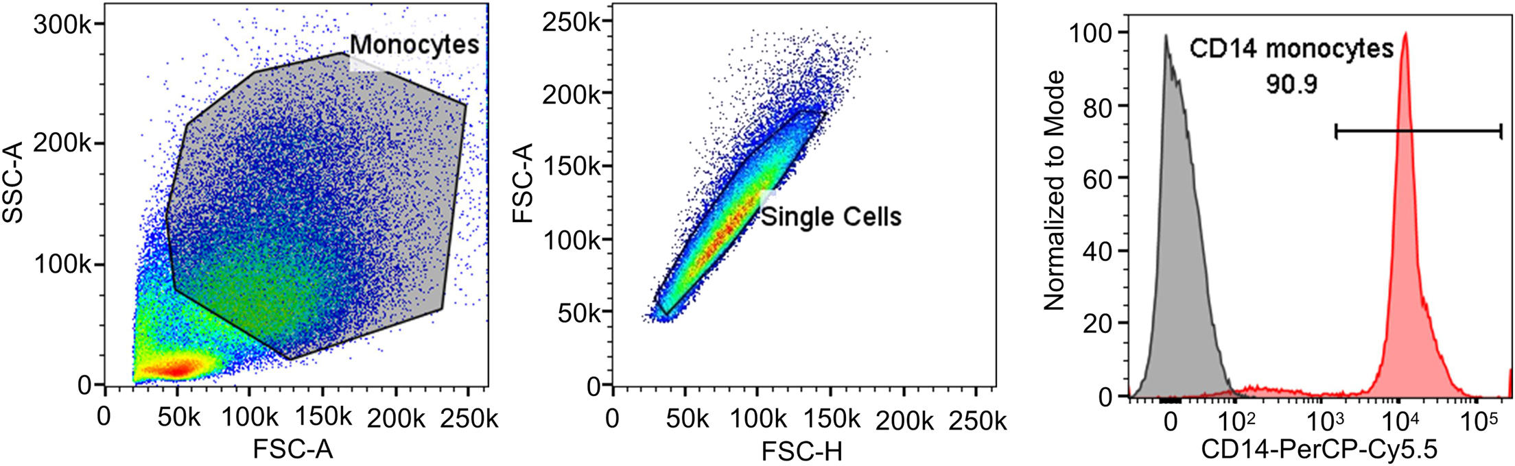 Cell Press: STAR Protocols