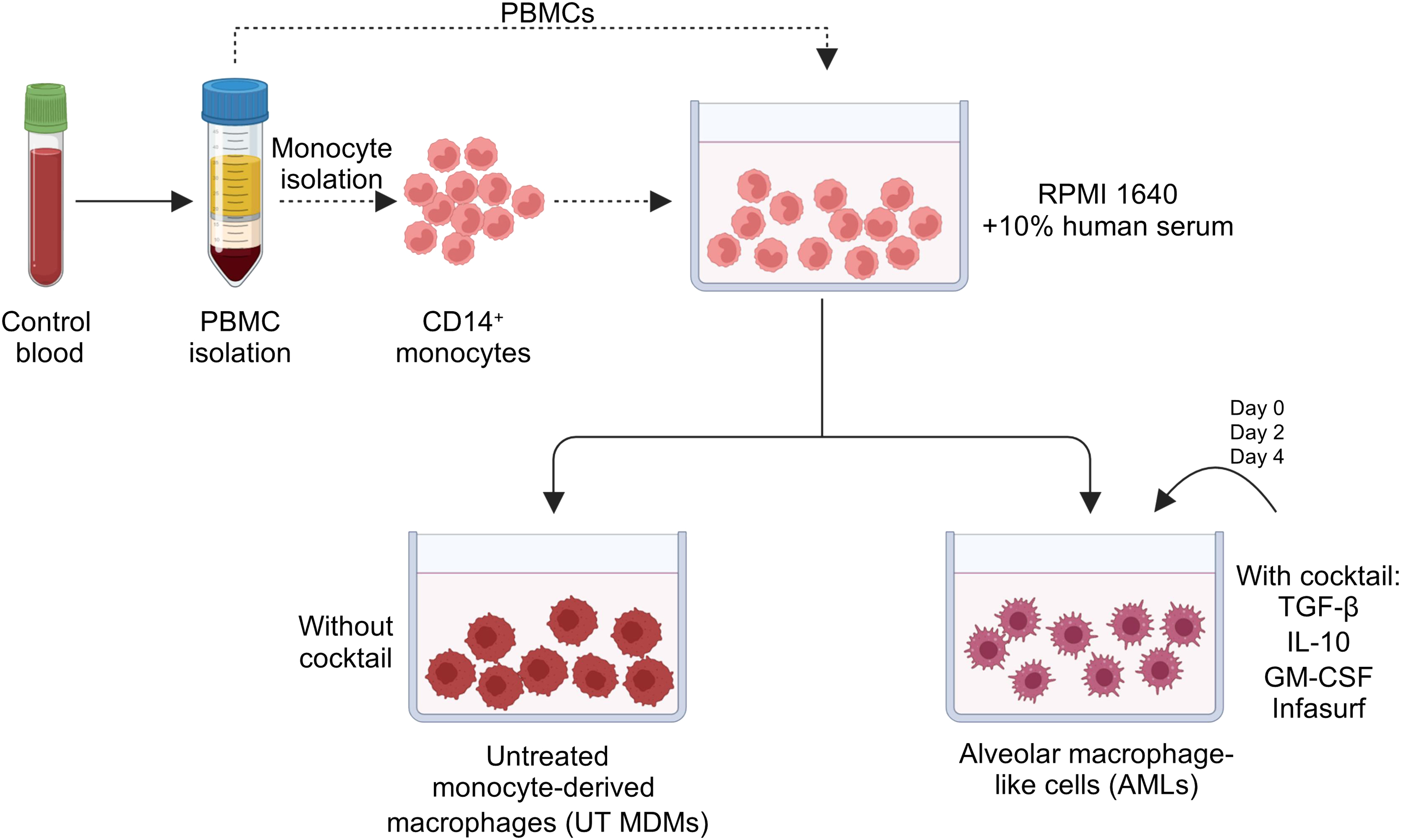 Cell Press: STAR Protocols