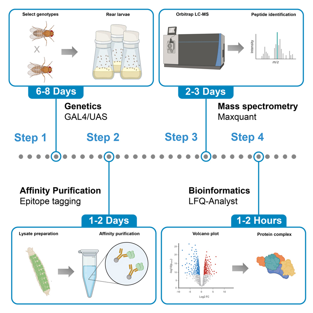 Cell Press: STAR Protocols