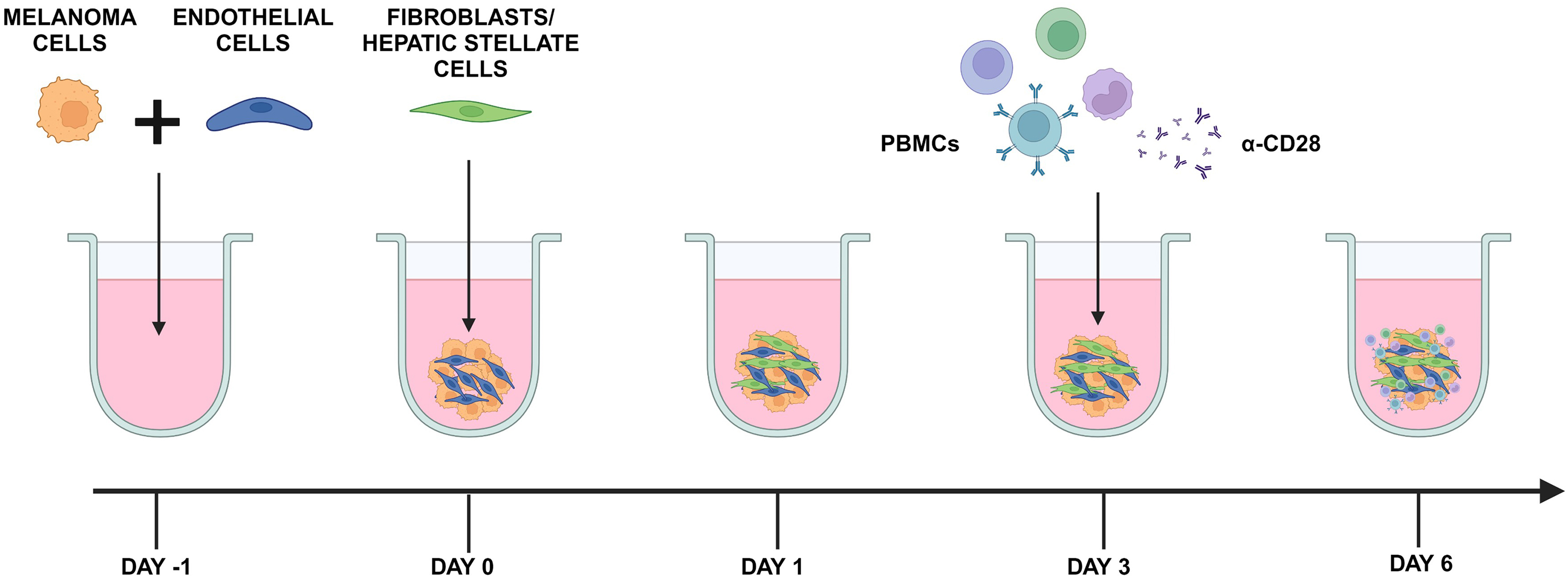 Cell Press: STAR Protocols