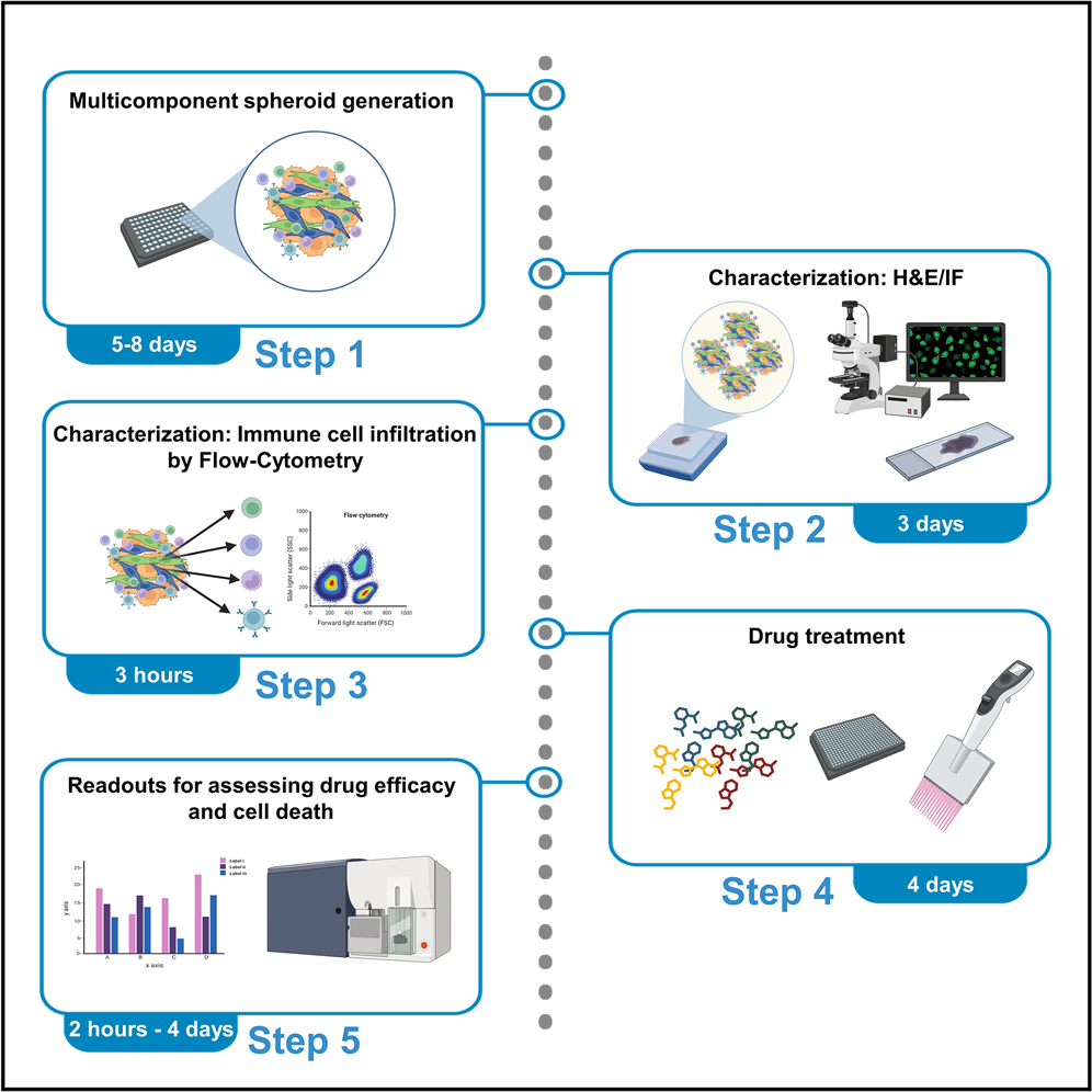Cell Press: STAR Protocols
