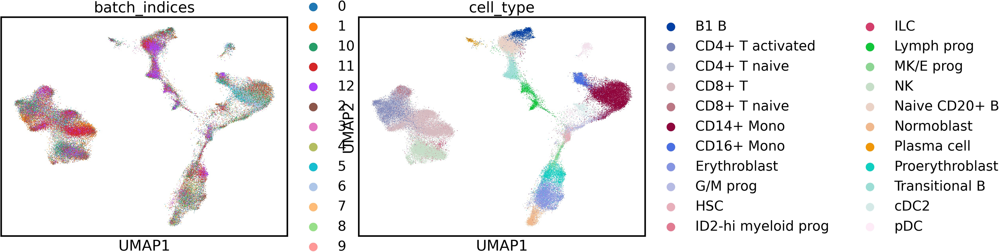 Cell Press: STAR Protocols