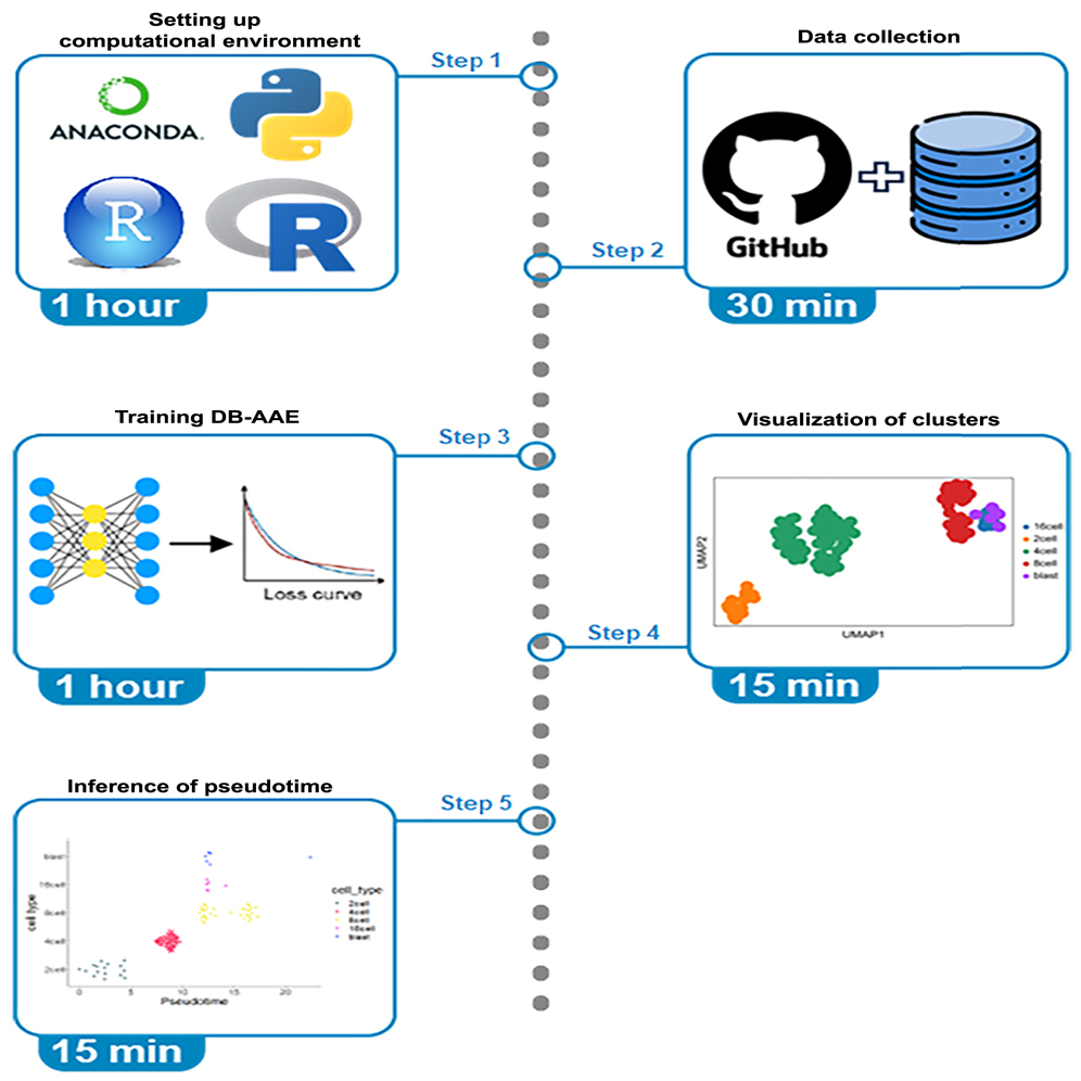 Cell Press: STAR Protocols
