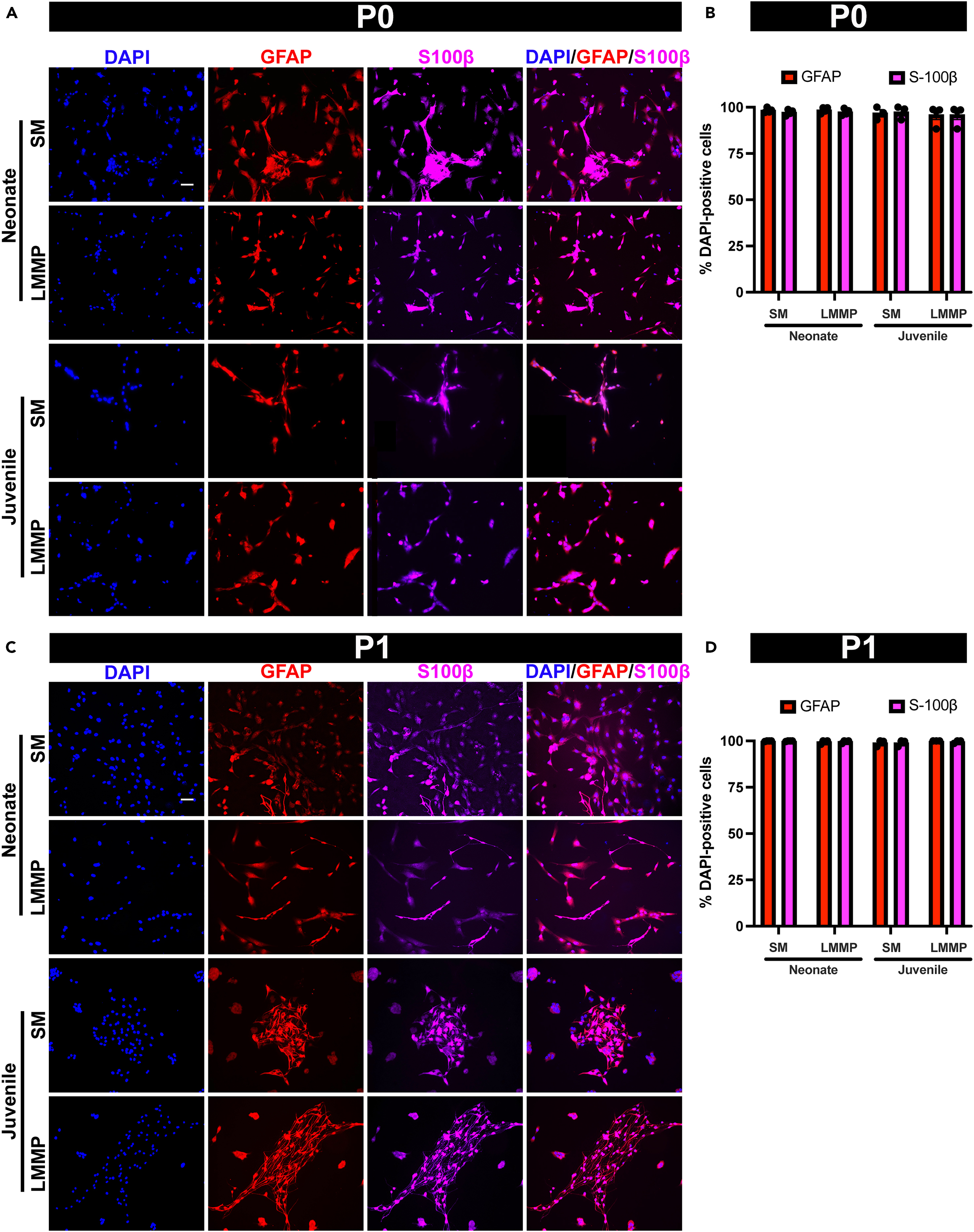 Cell Press: STAR Protocols