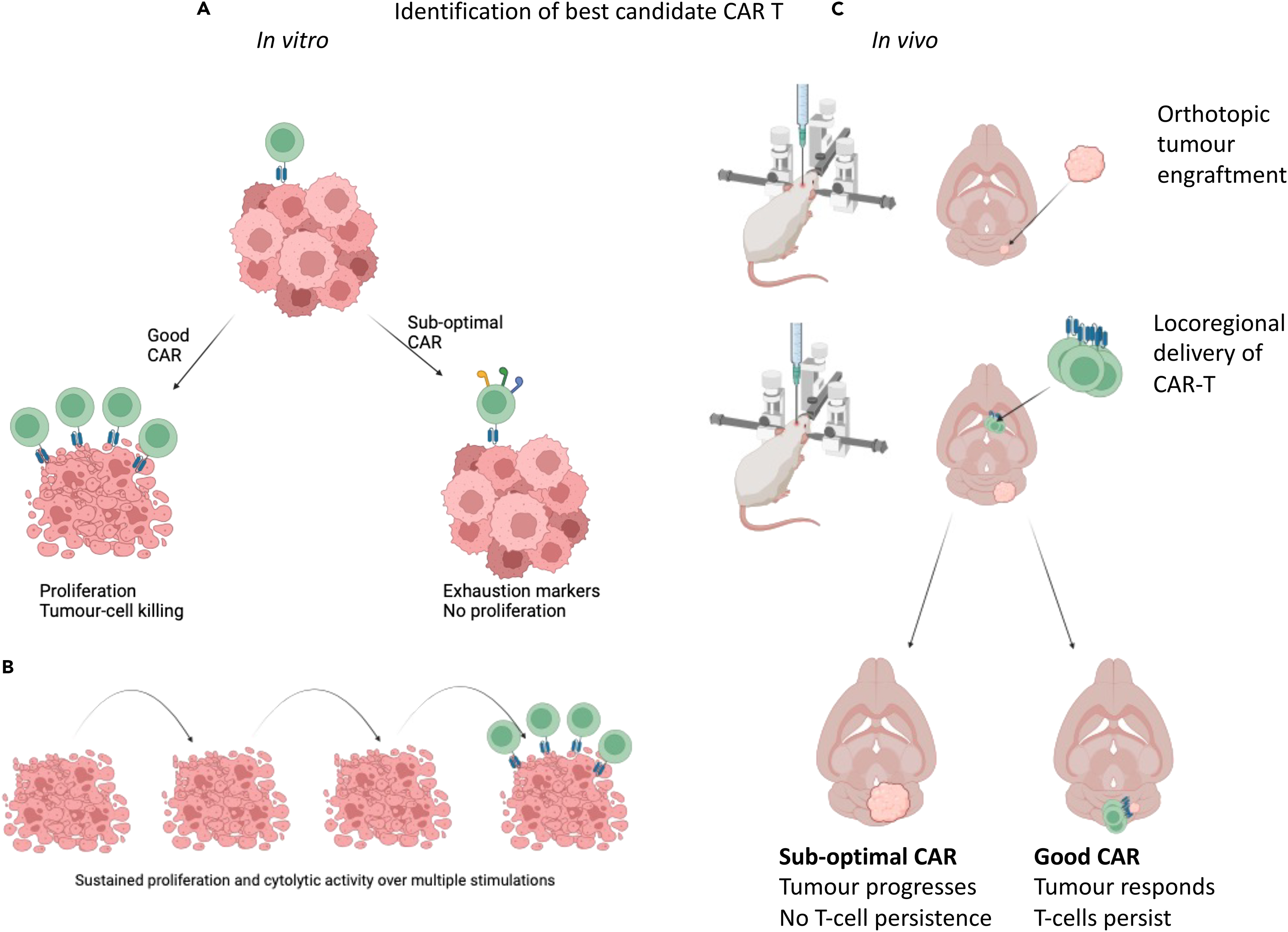 Cell Press: STAR Protocols
