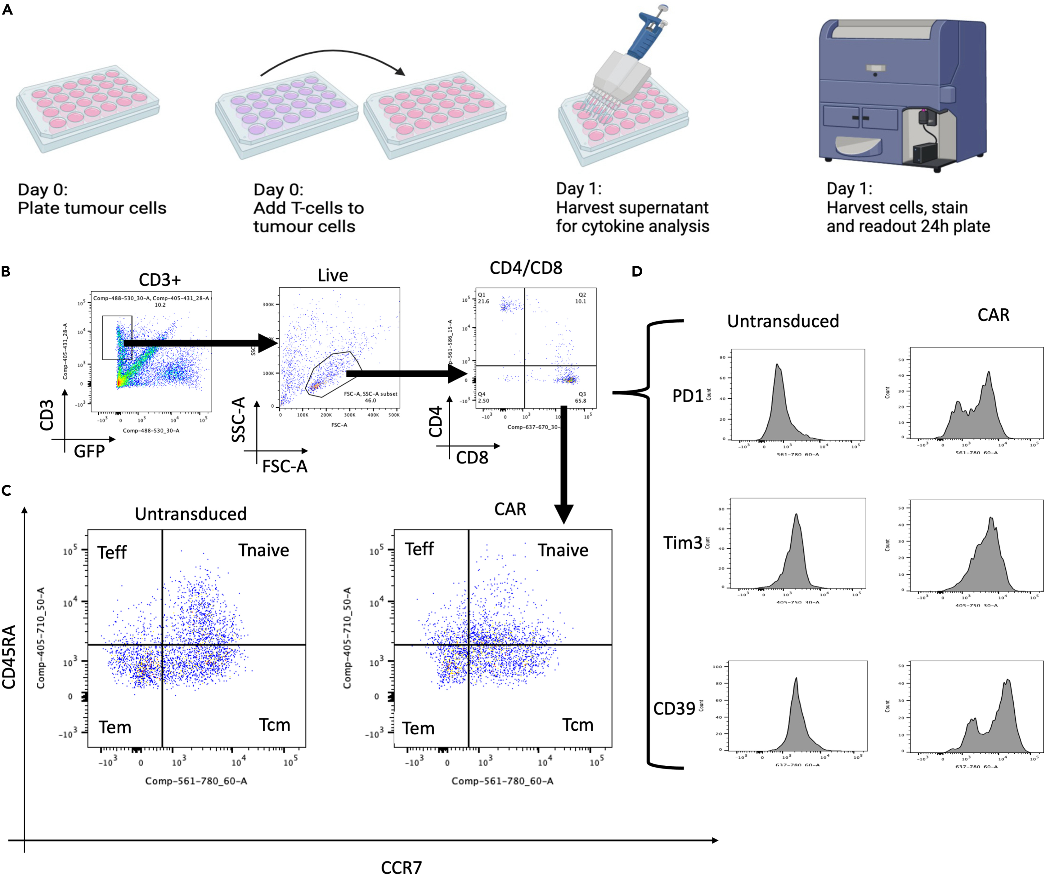 Cell Press: STAR Protocols