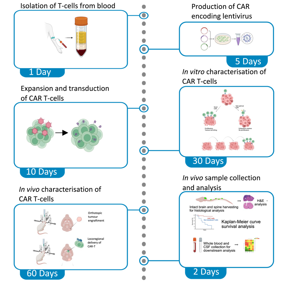 Cell Press: STAR Protocols