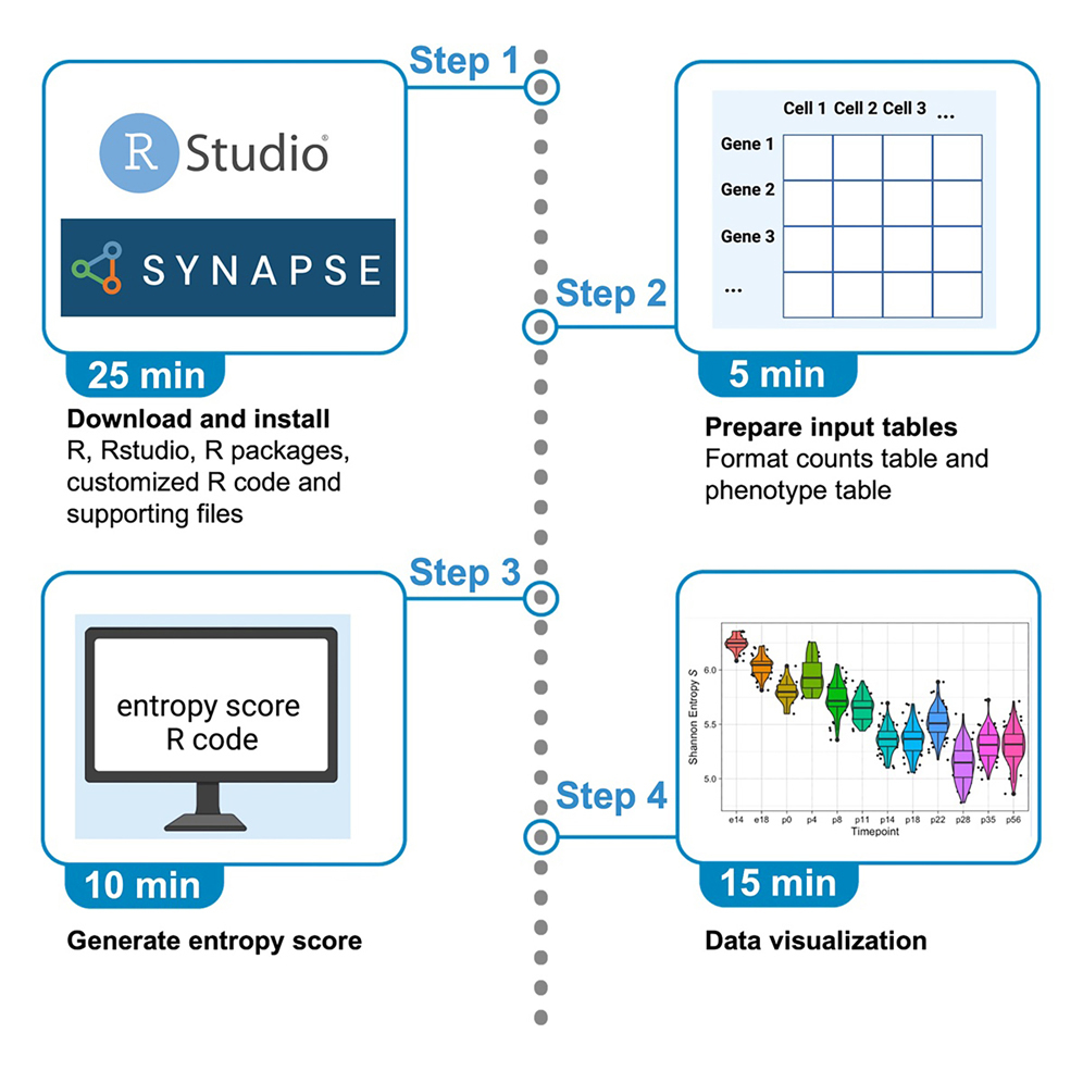 Cell Press: STAR Protocols