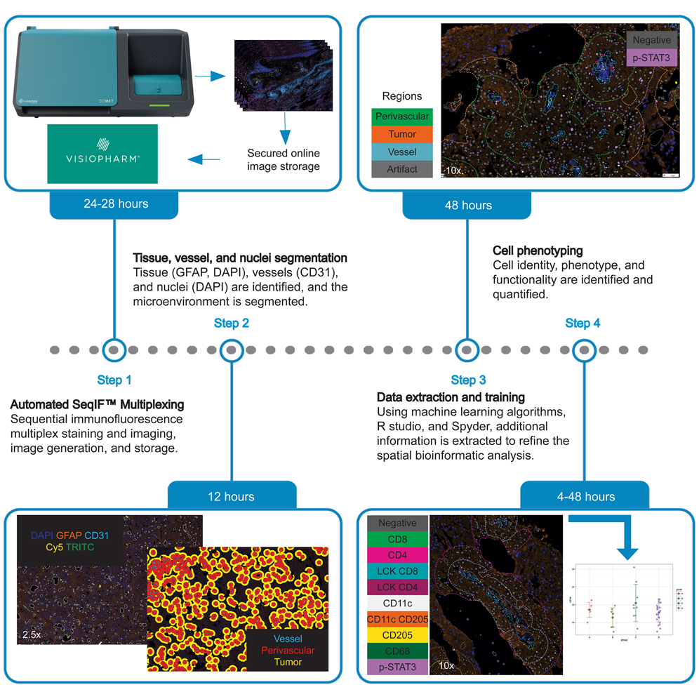 Cell Press: STAR Protocols