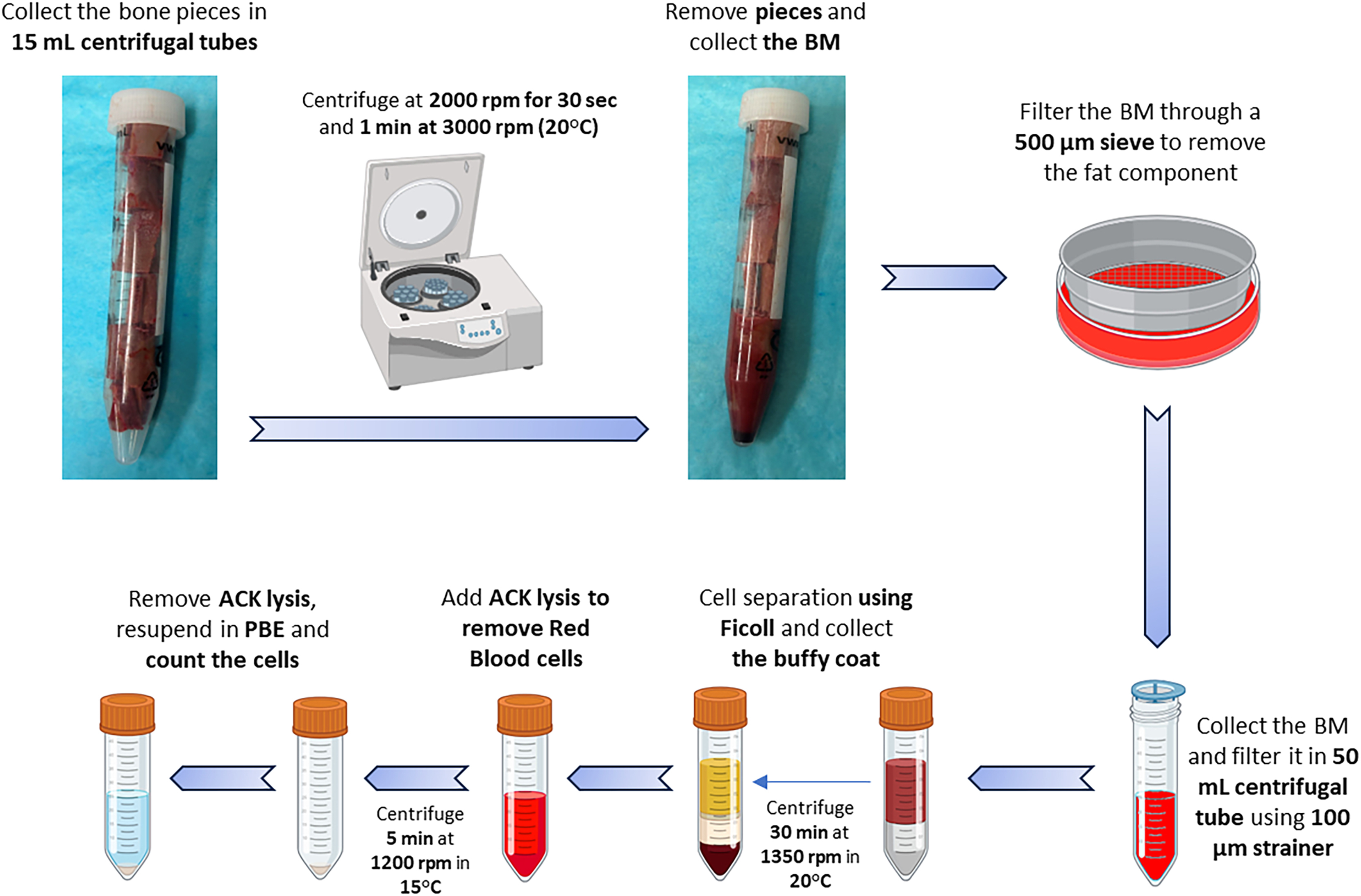 Cell Press: STAR Protocols