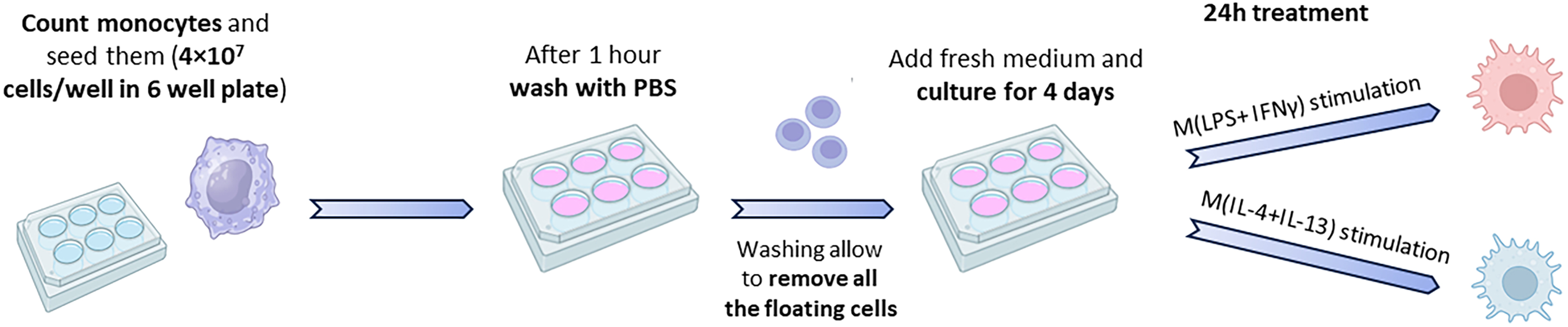 Cell Press: STAR Protocols Cell Press: STAR Protocols