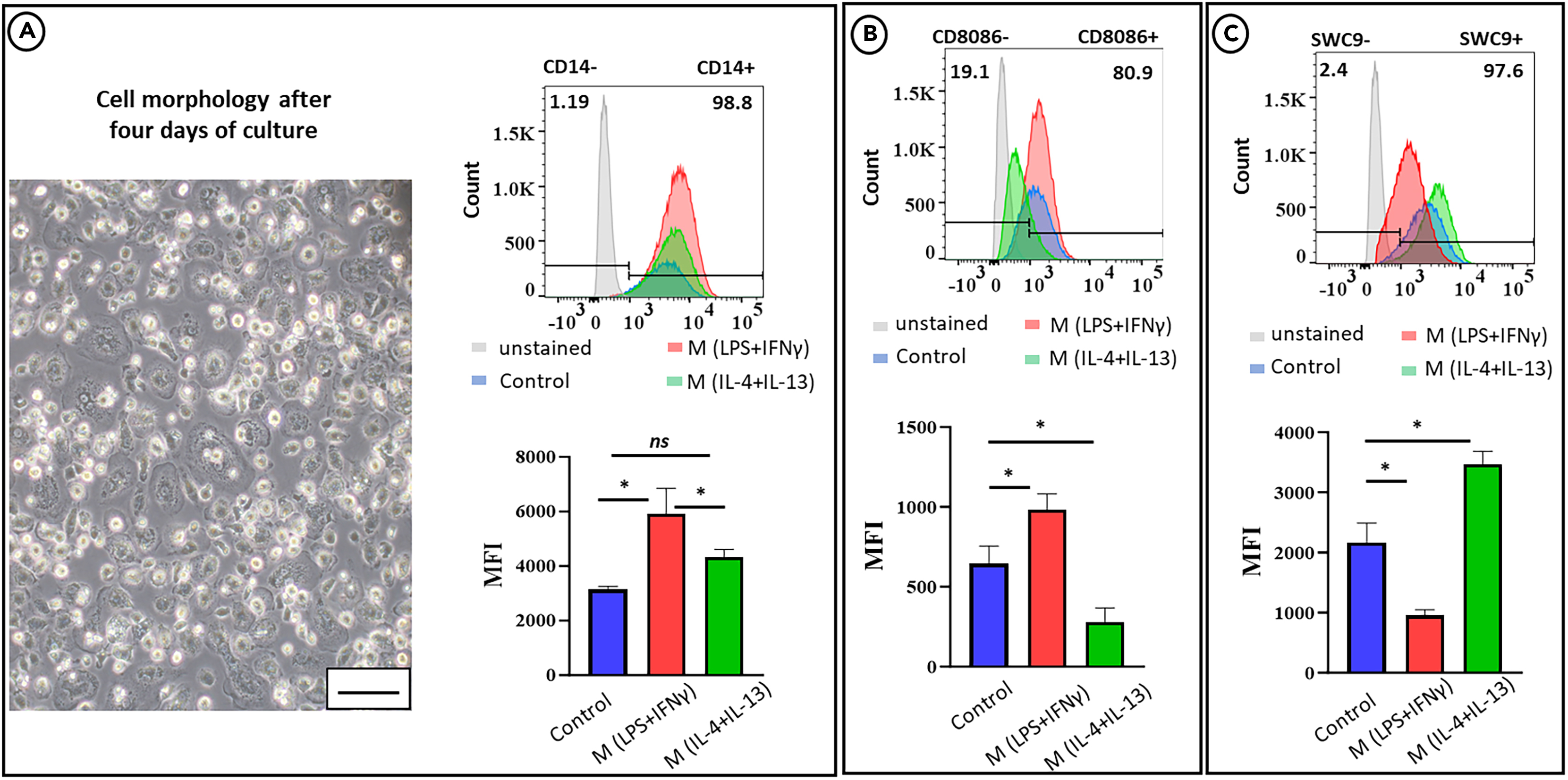 Cell Press: STAR Protocols