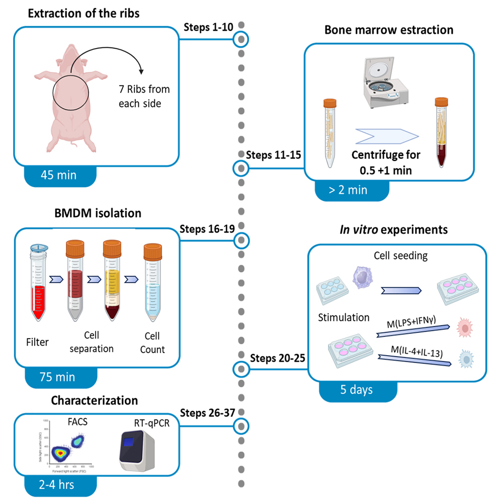 Cell Press: STAR Protocols