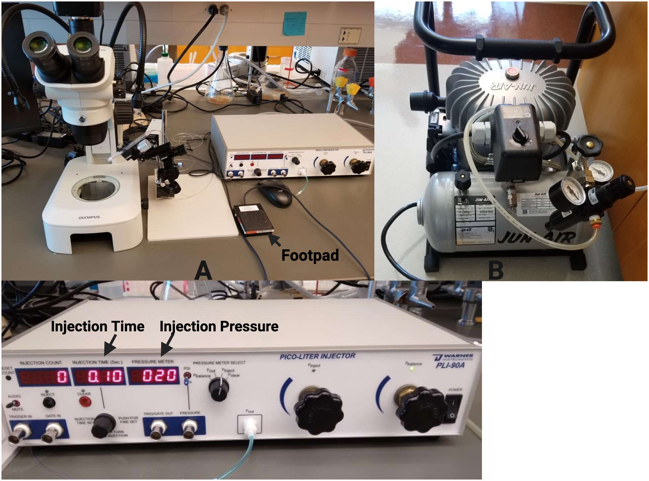 Cell Press: STAR Protocols
