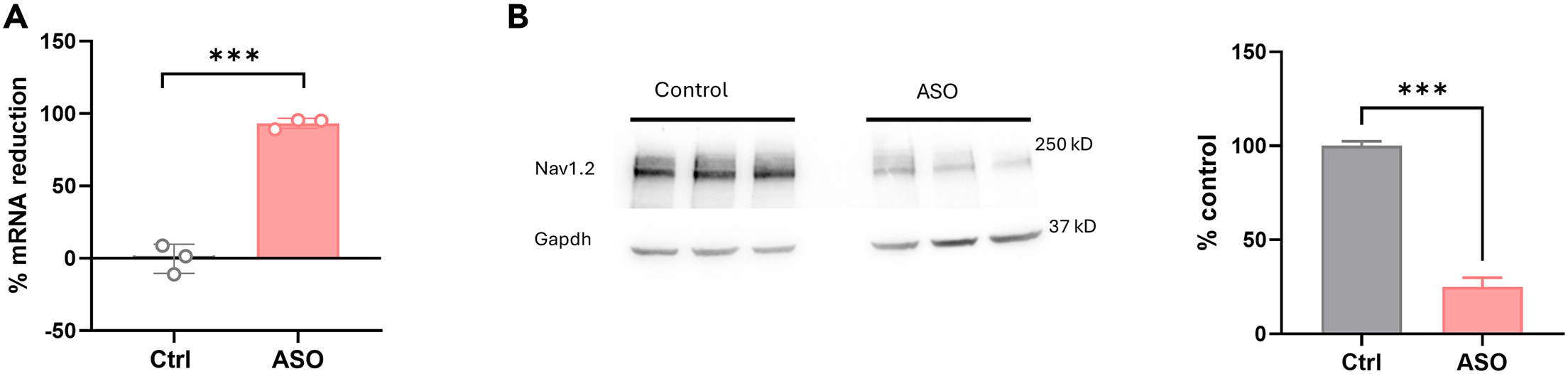 Cell Press: STAR Protocols