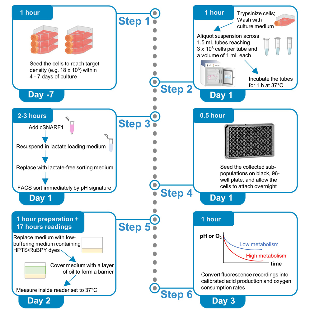 Cell Press: STAR Protocols