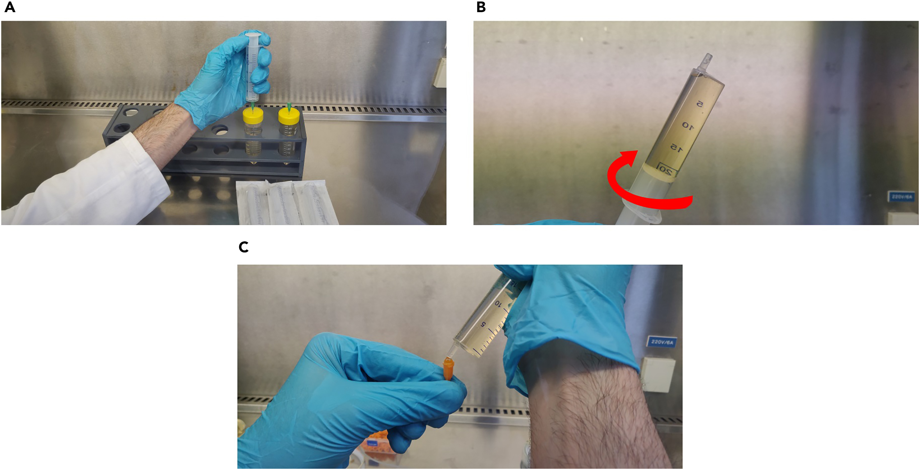 Cell Press: STAR Protocols