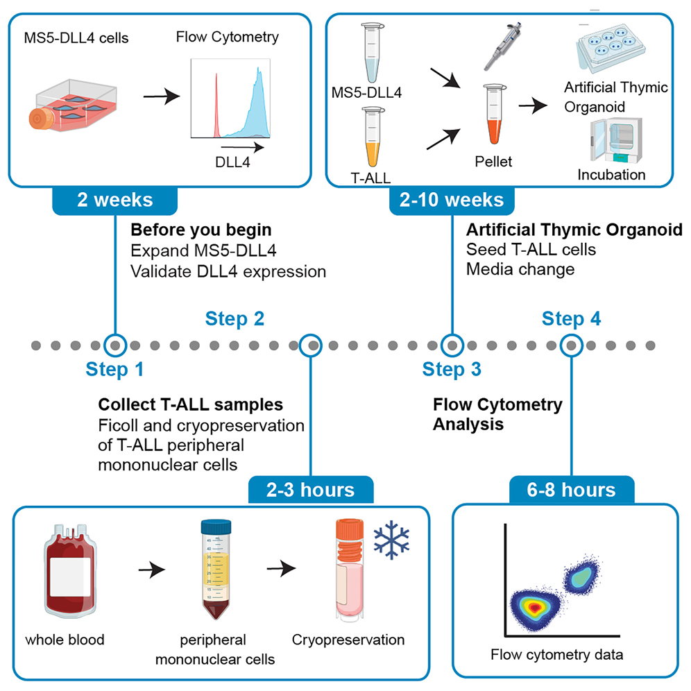 Cell Press: STAR Protocols