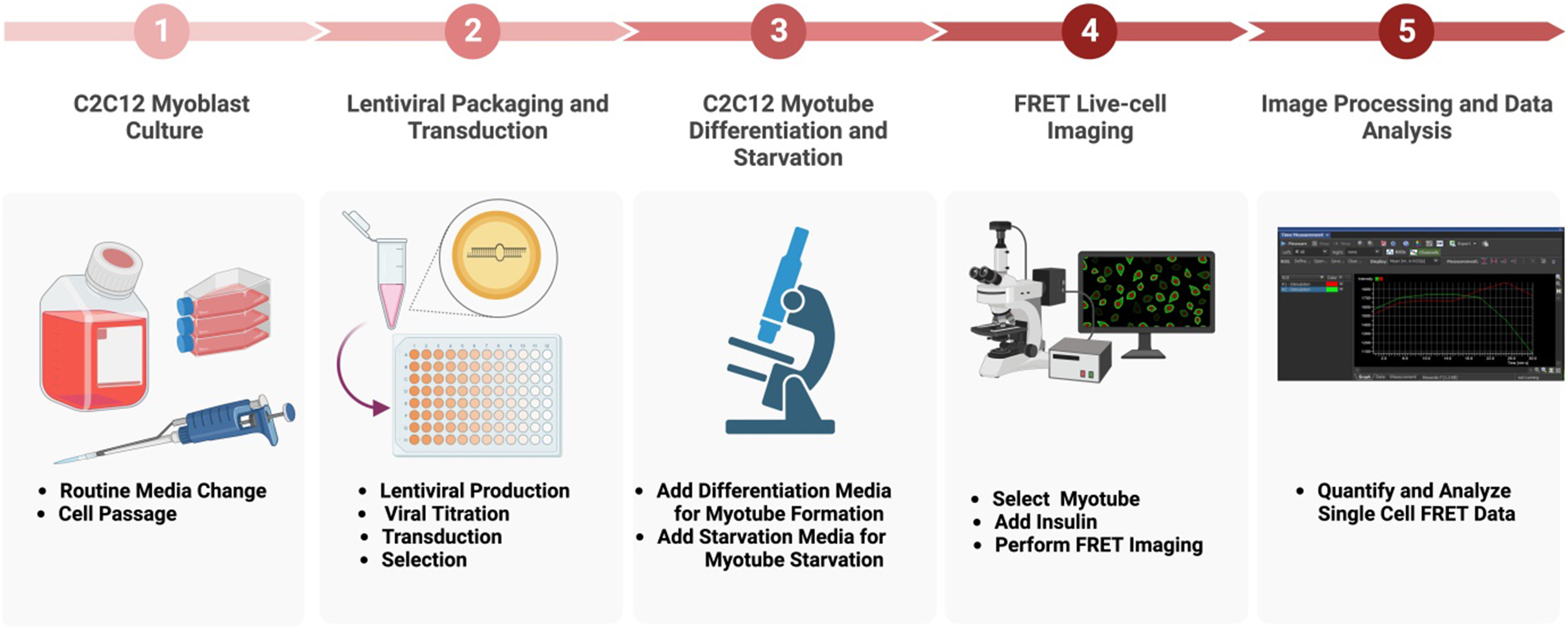 Cell Press: STAR Protocols