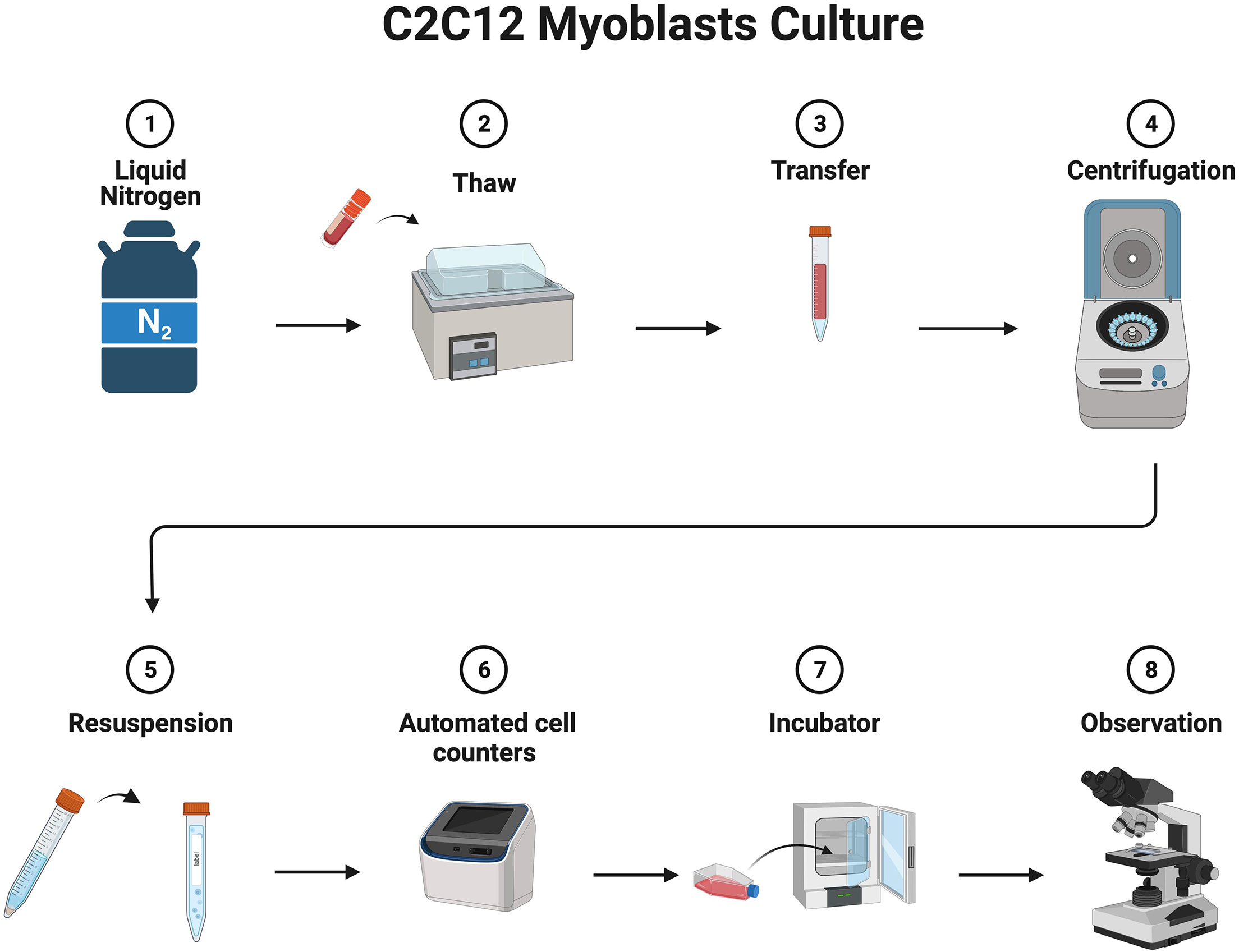 Cell Press: STAR Protocols