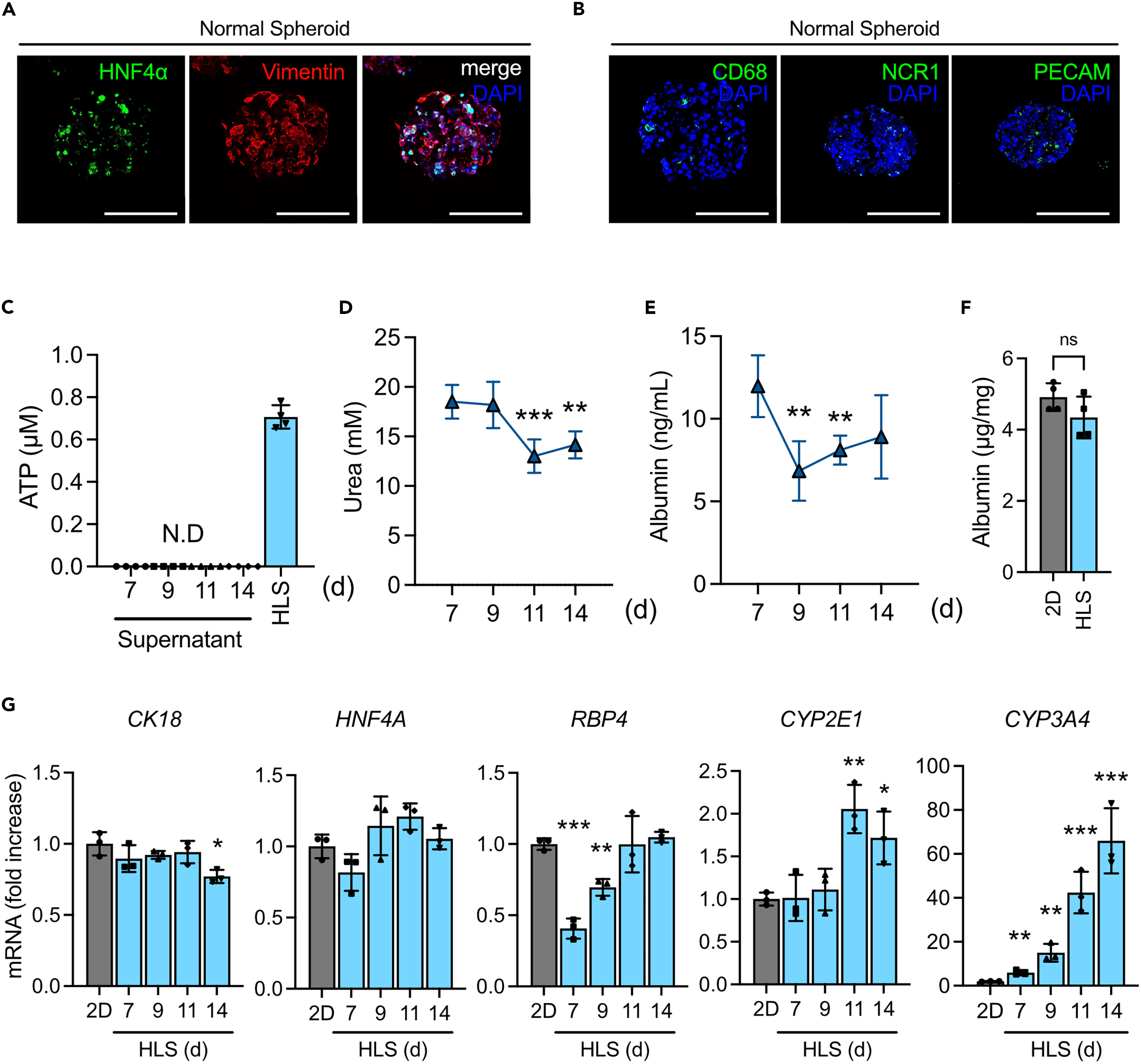 Cell Press: STAR Protocols