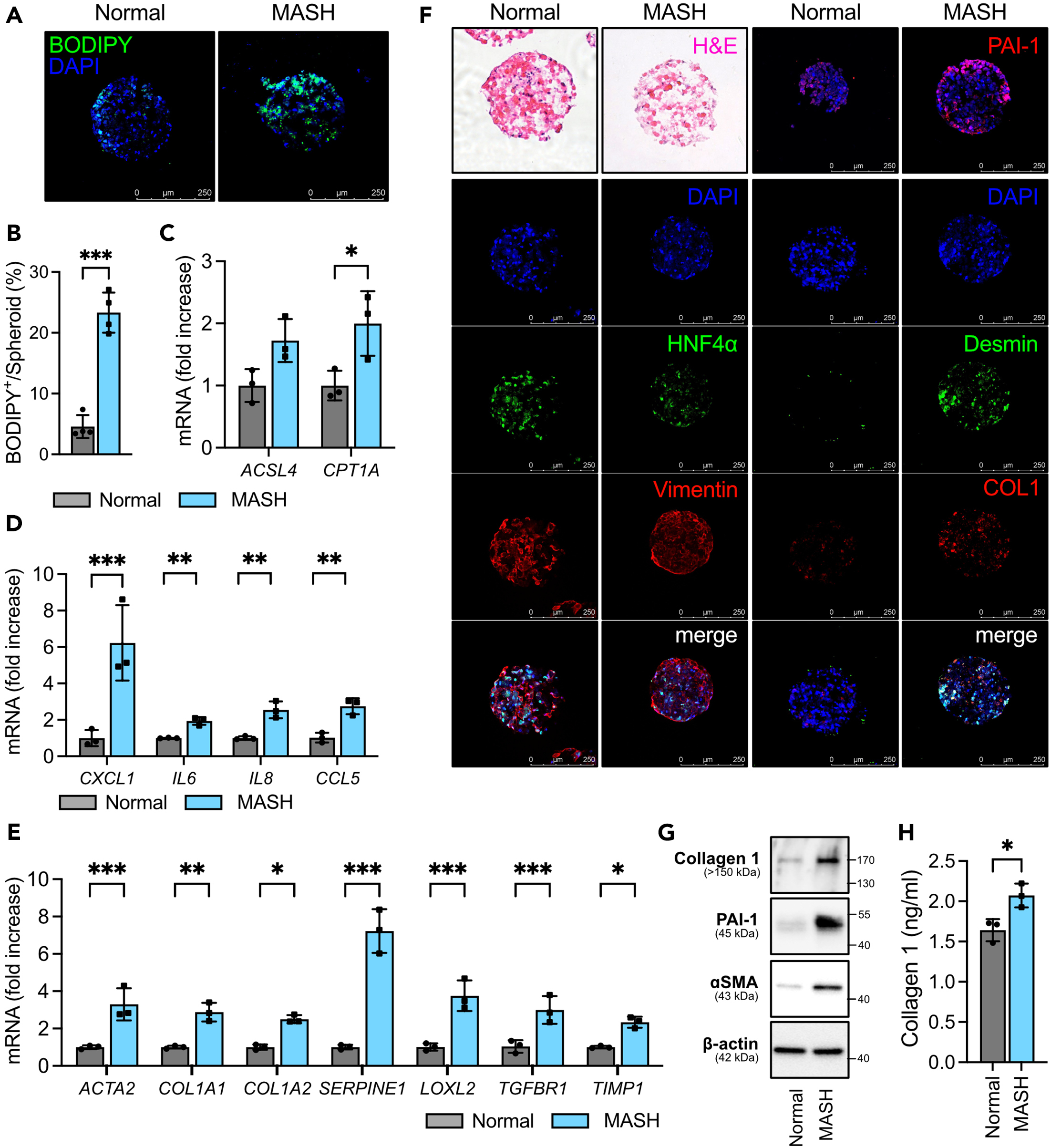 Cell Press: STAR Protocols