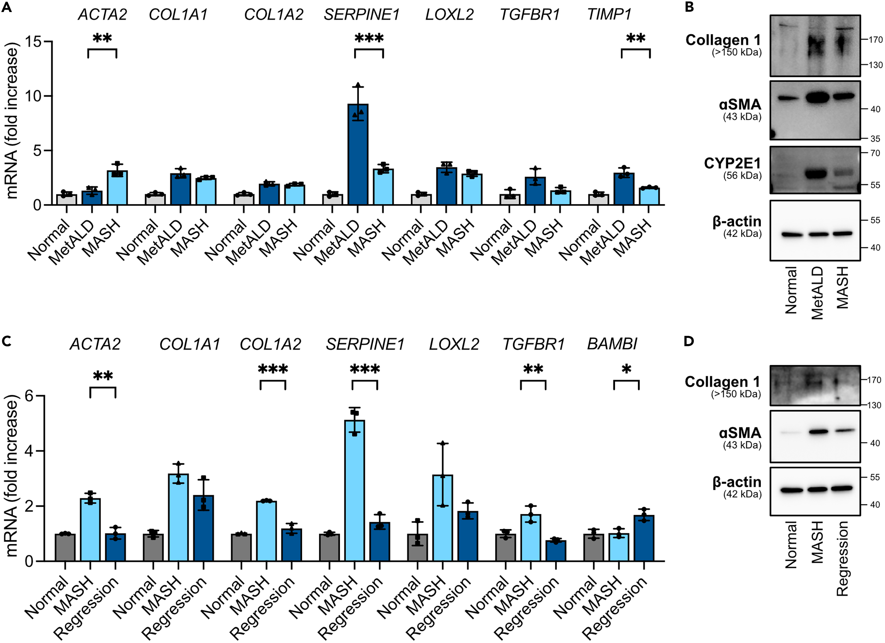Cell Press: STAR Protocols