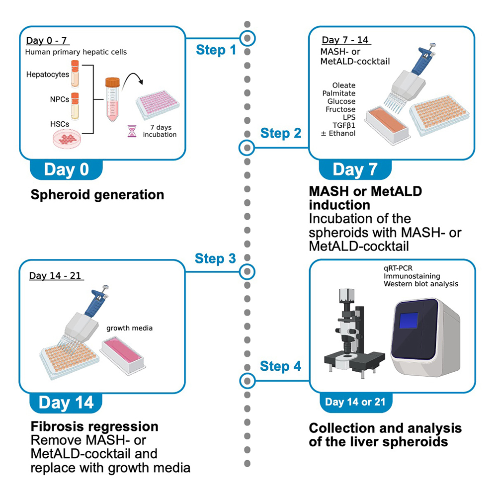 Cell Press: STAR Protocols