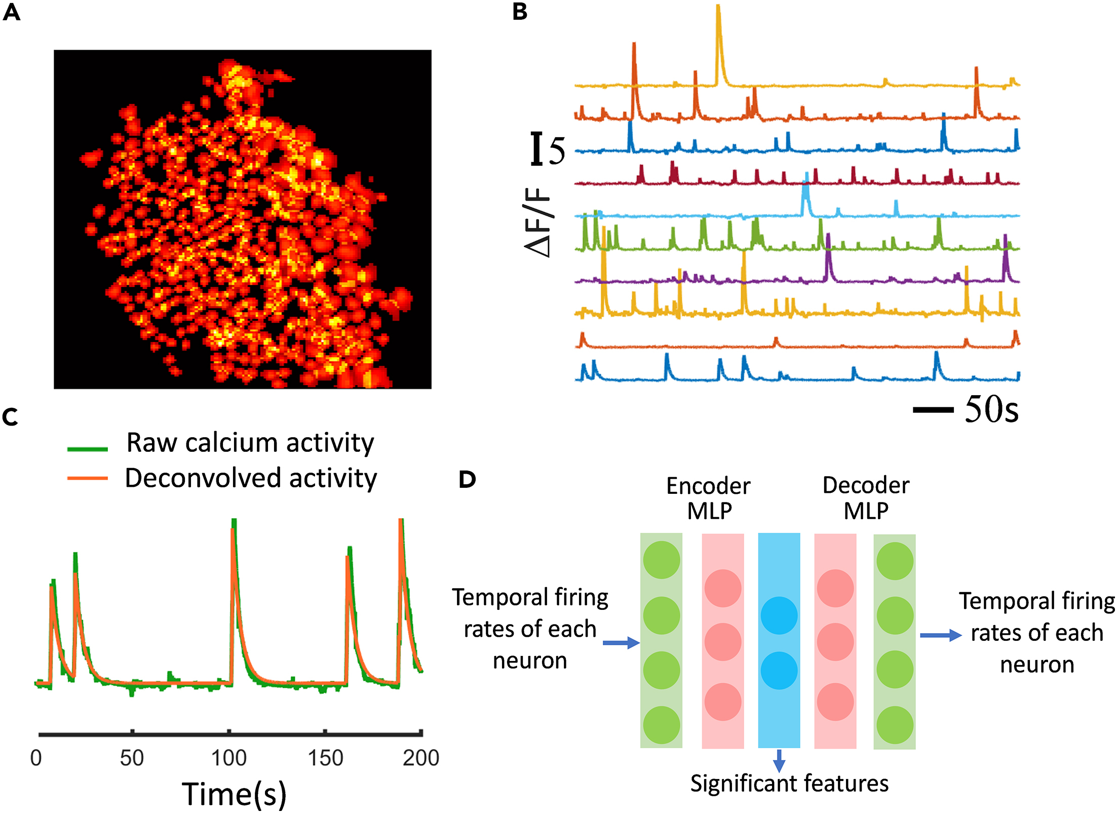 Cell Press: STAR Protocols