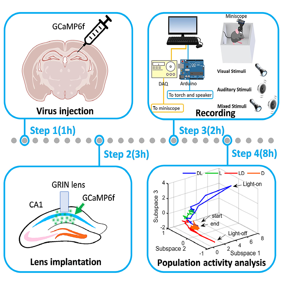 Cell Press: STAR Protocols