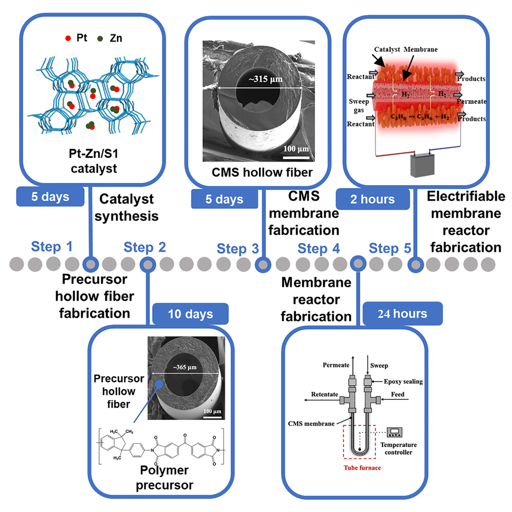 Cell Press: STAR Protocols
