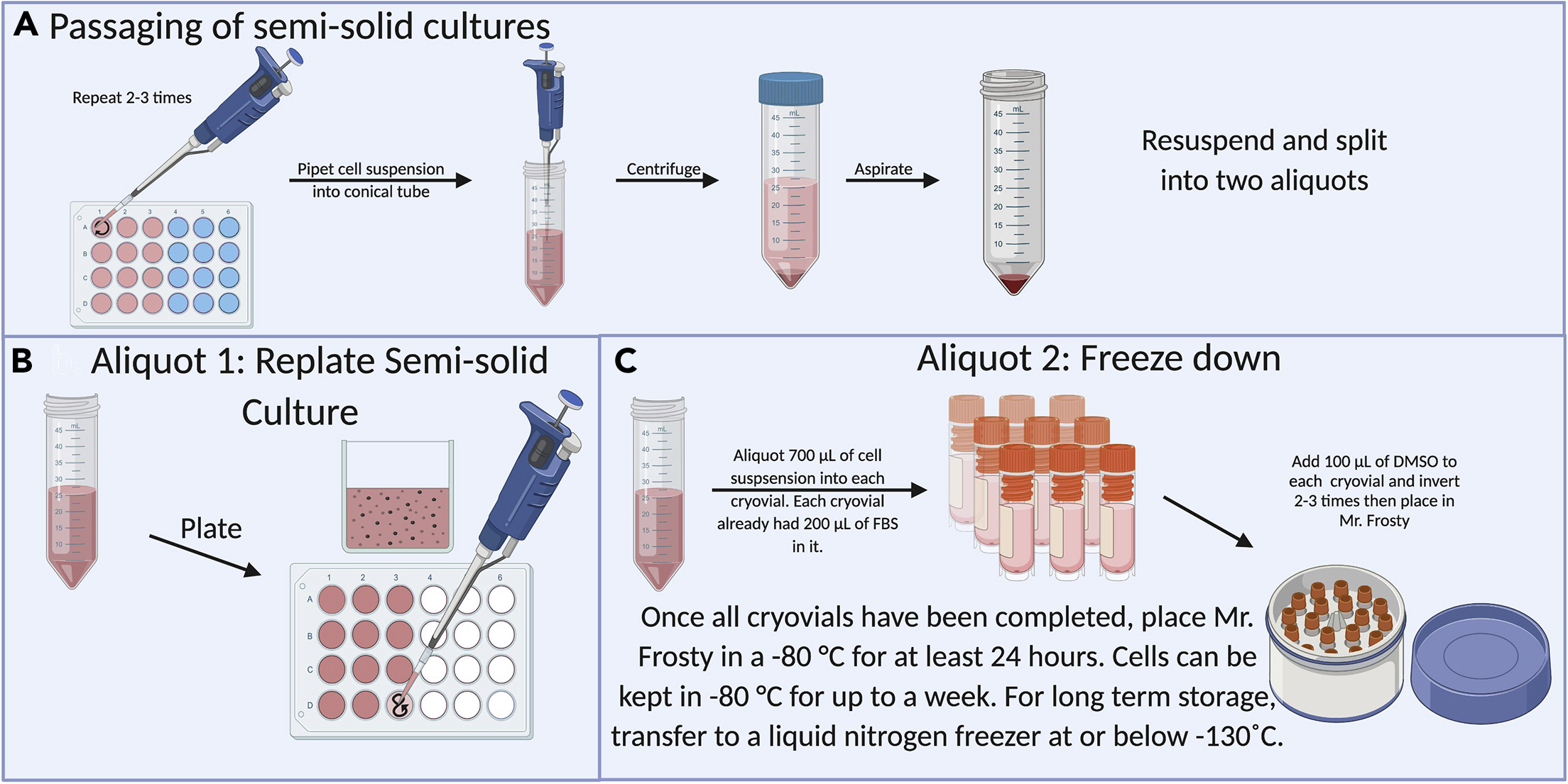 Cell Press: STAR Protocols