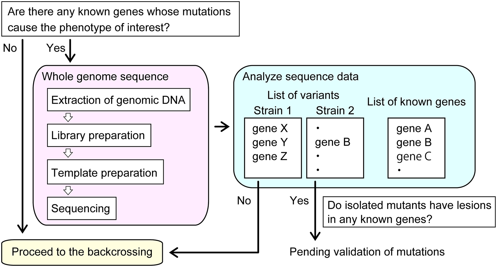 Cell Press: STAR Protocols