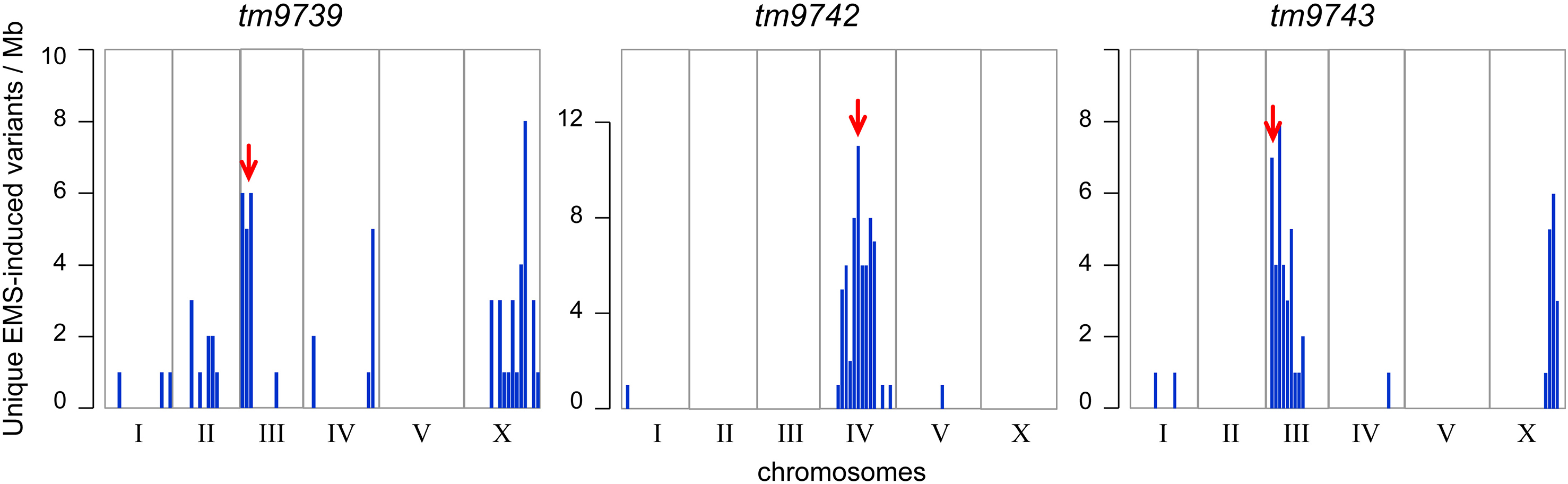 Cell Press: STAR Protocols