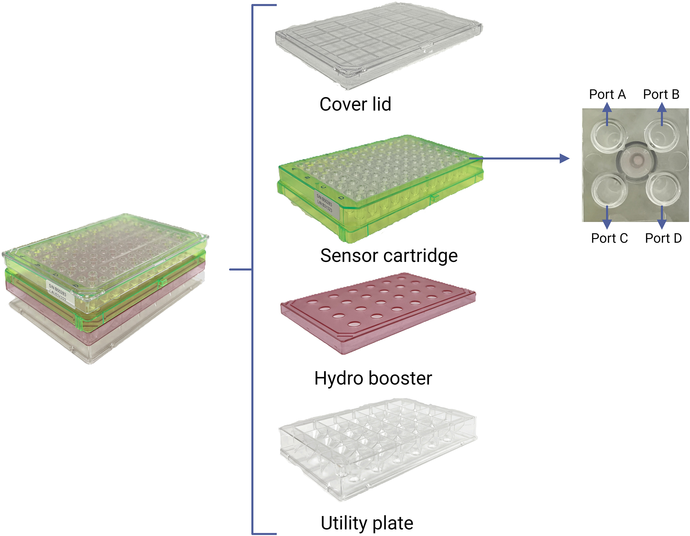 Cell Press: STAR Protocols